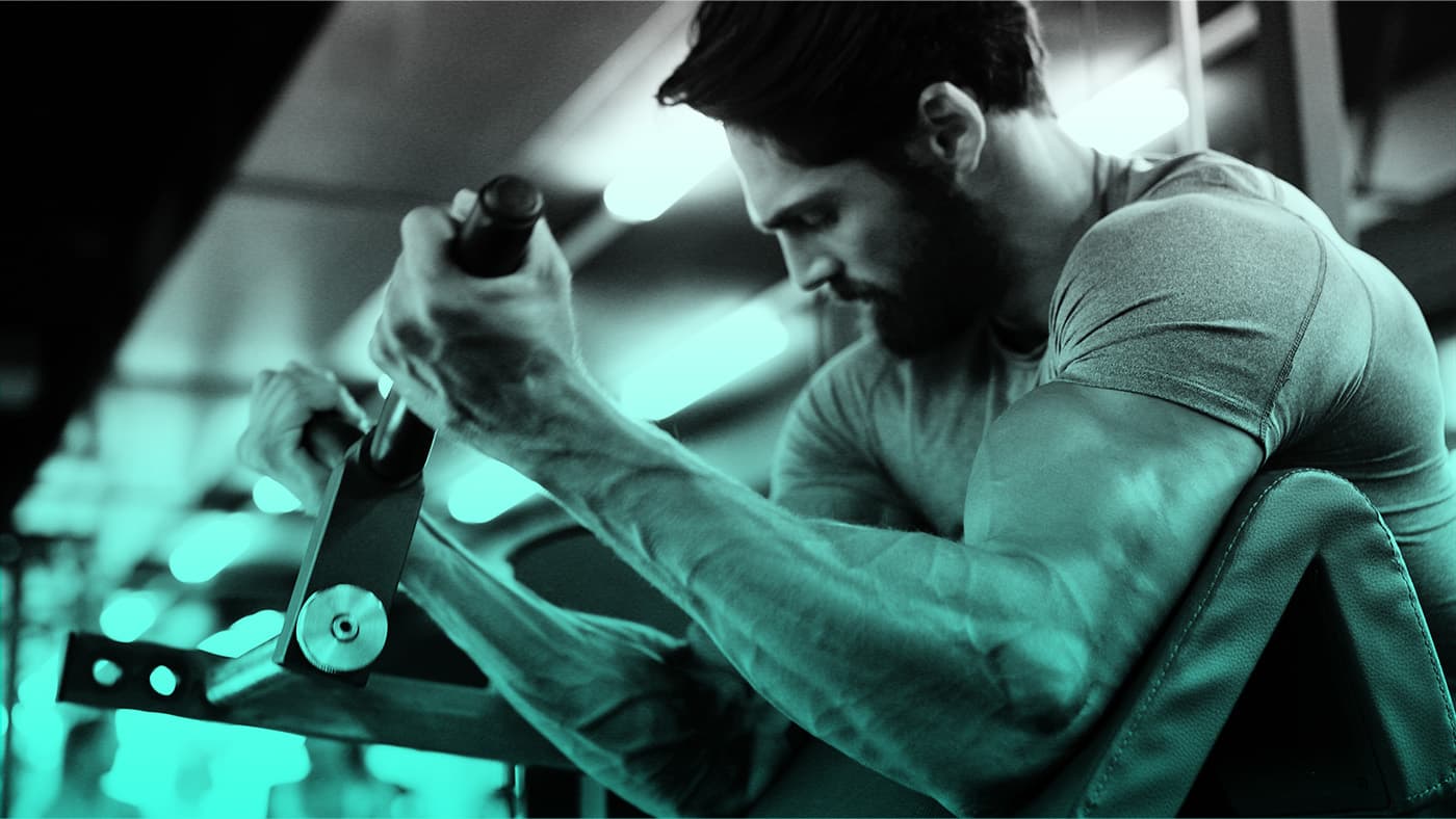 Serious Fitness Lab - How Your Muscles Grow: The Complete Guide to ...